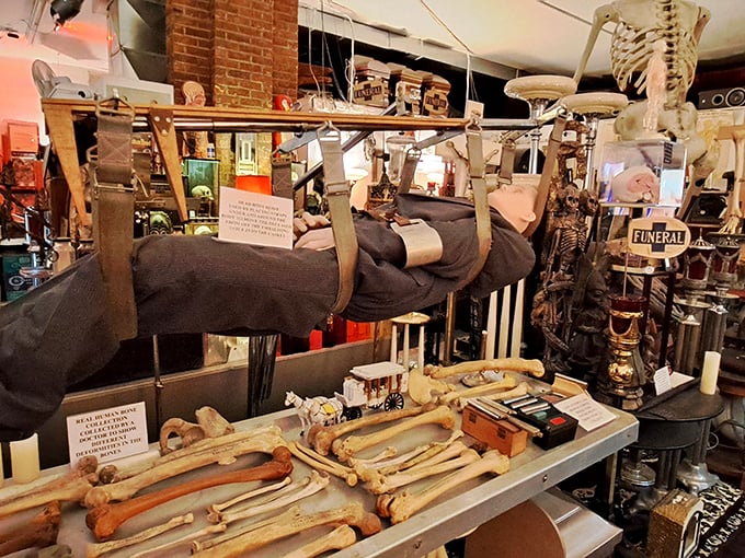 anatomy of death museum 7