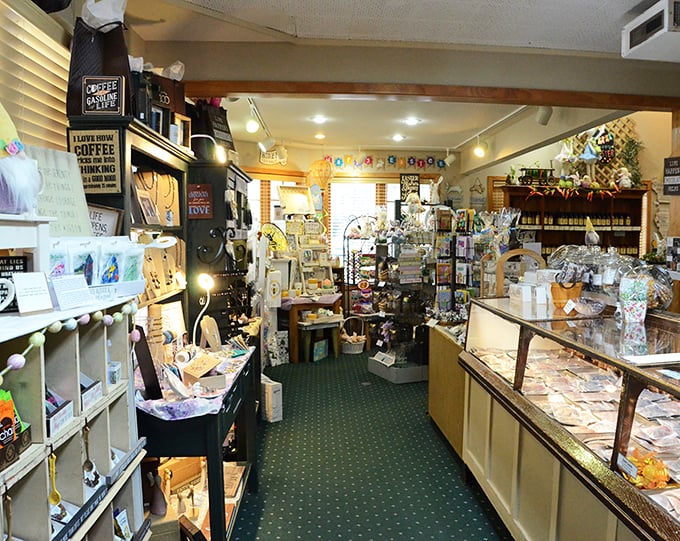 anderson's candy shop 3