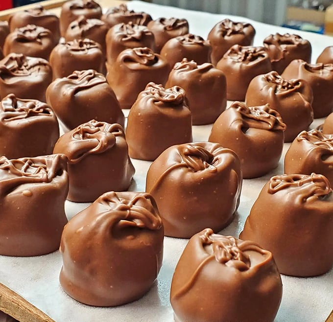 anderson's candy shop 9