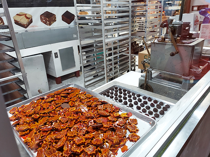 angell & phelps chocolate factory 9