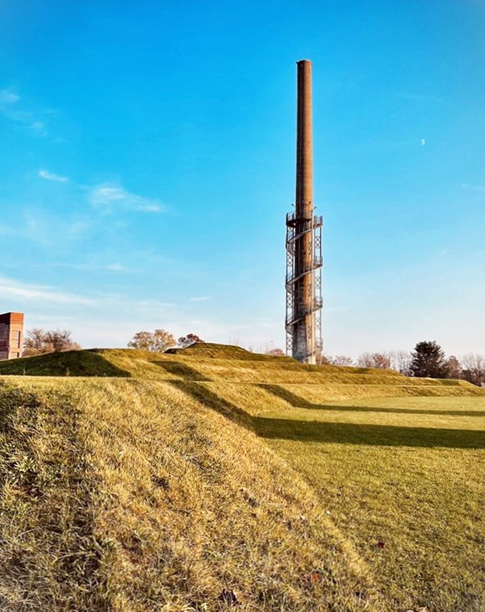 ariel foundation park 4