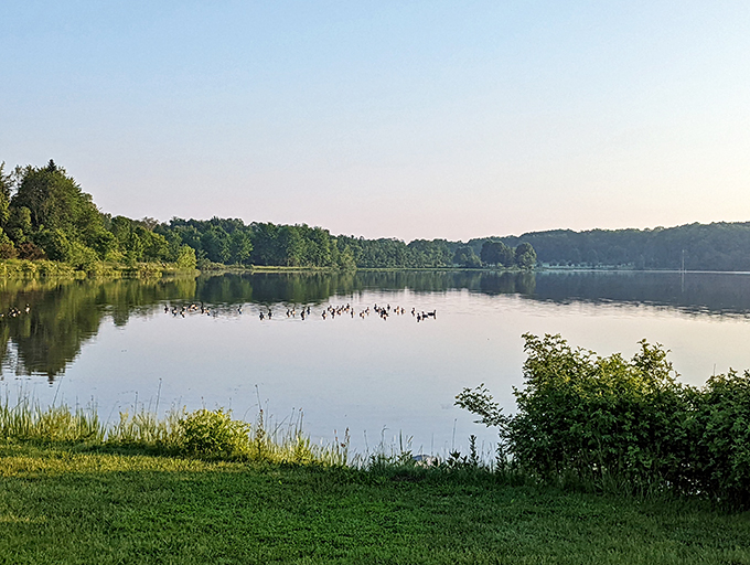 aurora sunny lake park 3