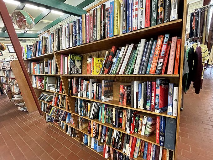 bearly used thrift store 3