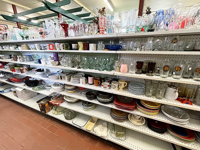 bearly used thrift store 6