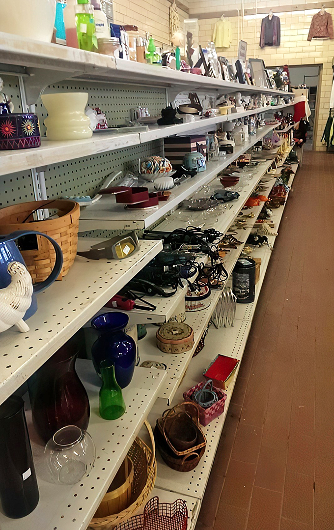 bearly used thrift store 9