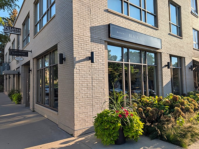 black walnut bakery 1