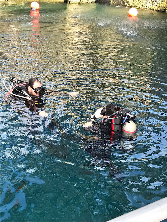 blue grotto dive resort 3