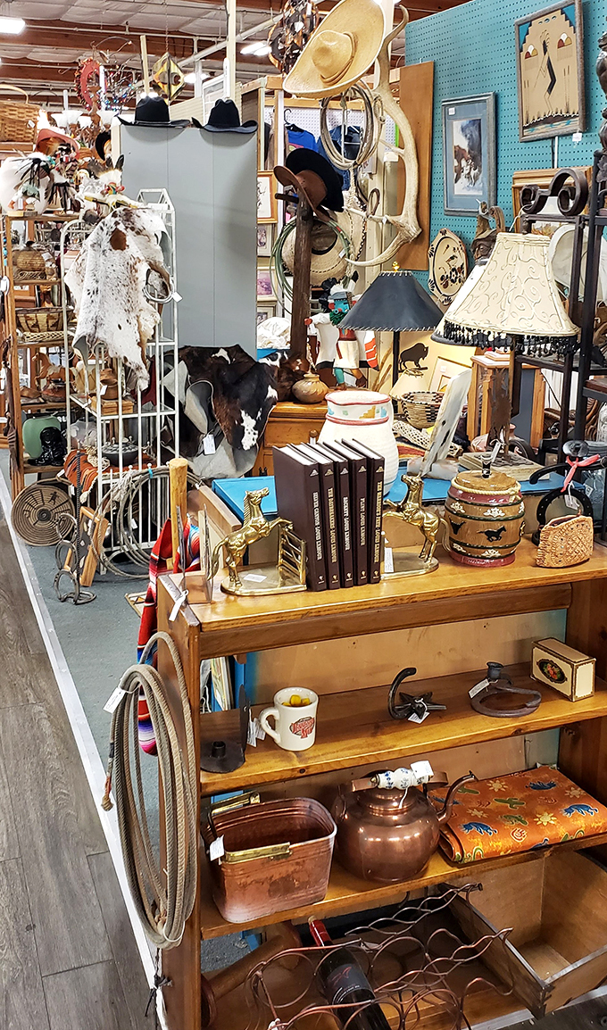 brass armadillo antique mall 4