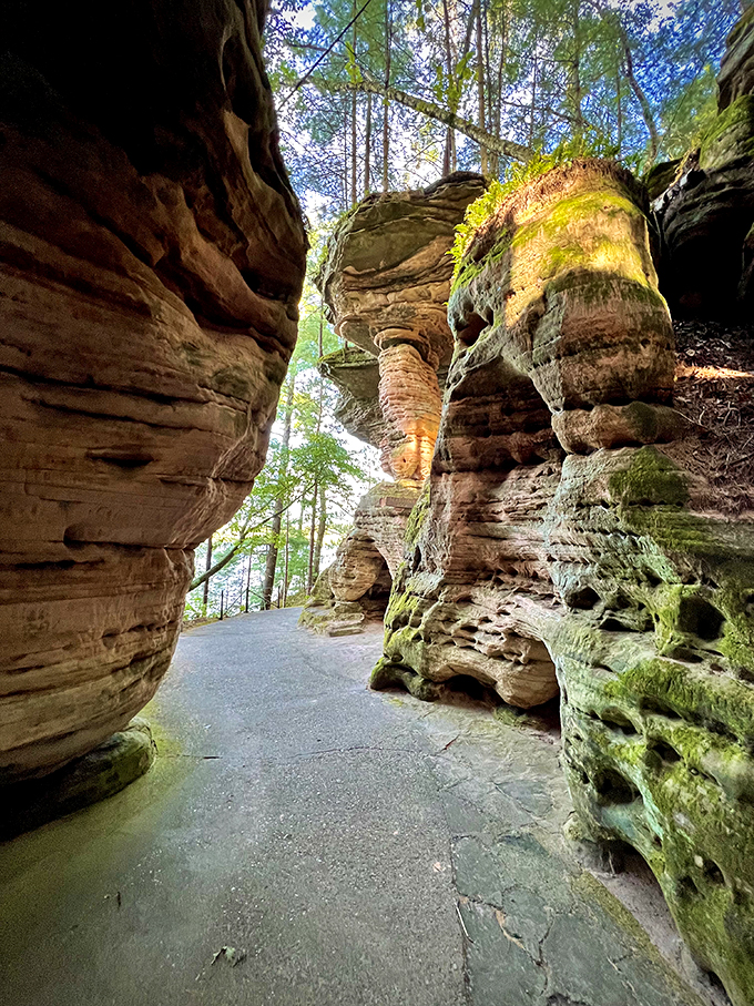 breakfast at wintergreen 8