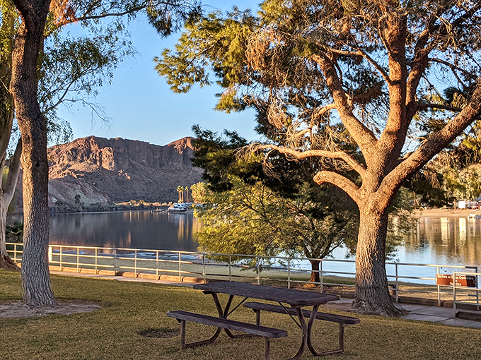 buckskin mountain state park 8