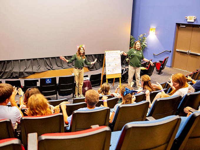 butterfly wonderland 3