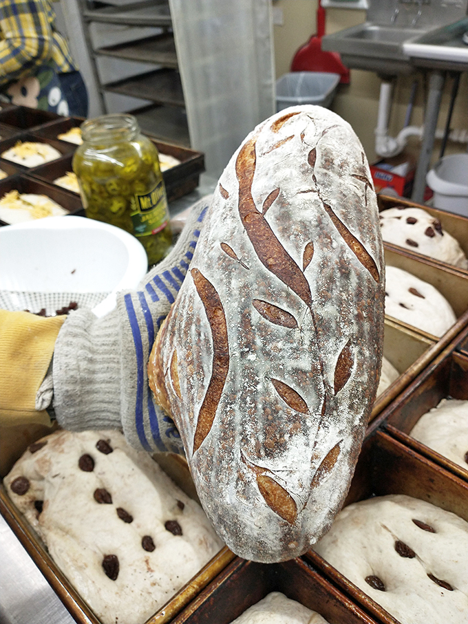 castlerock sourdough 6