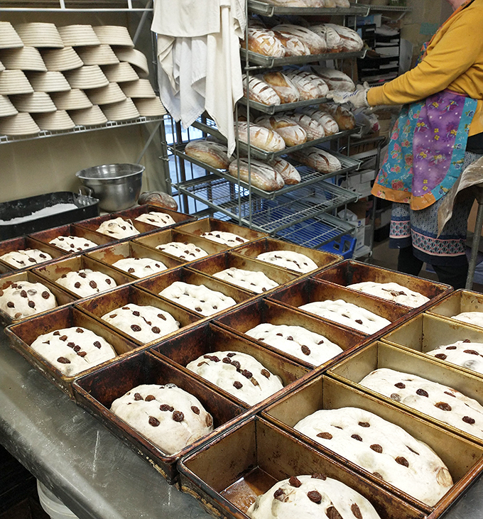 castlerock sourdough 7