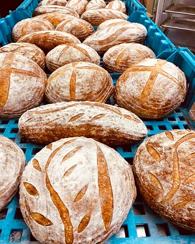 castlerock sourdough 8