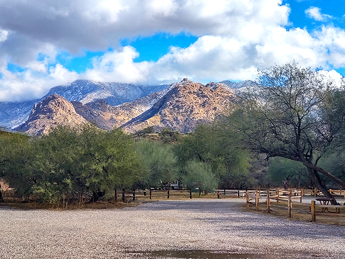 catalina state park 2
