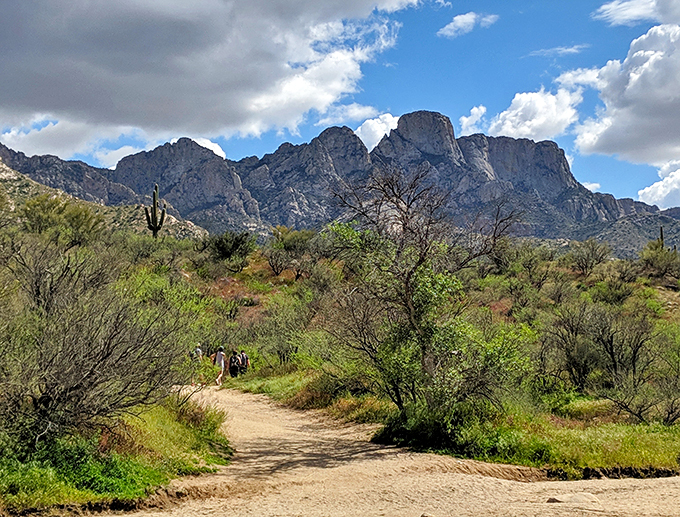 catalina state park 4