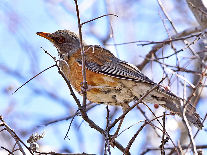 catalina state park 5