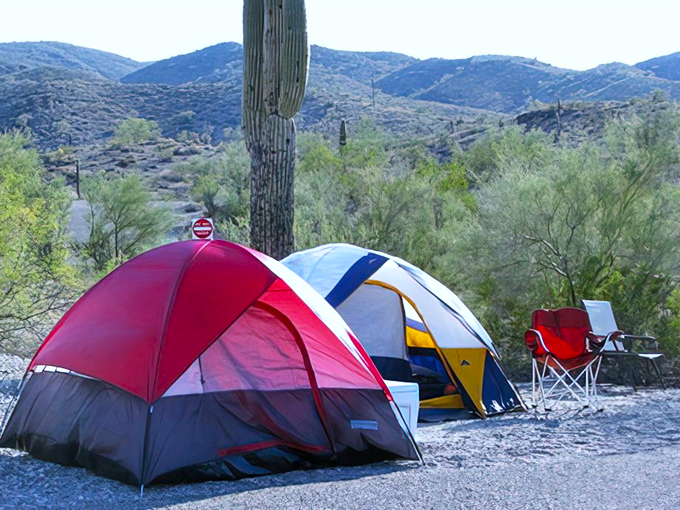catalina state park 6