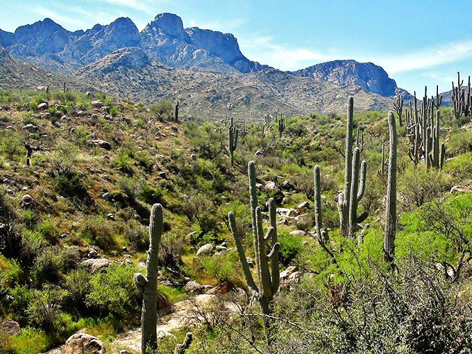 catalina state park 7