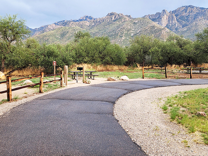 catalina state park 8