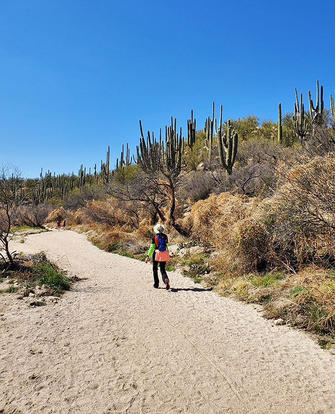 catalina state park 9