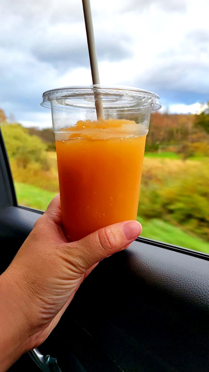 cold hollow cider mill 4