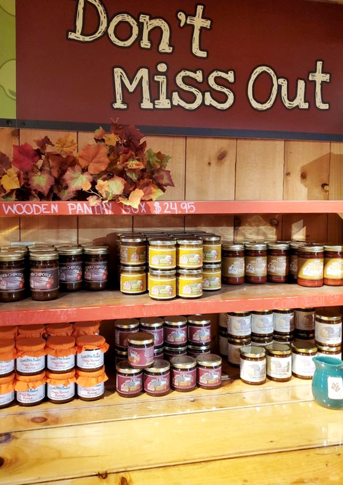 cold hollow cider mill 6