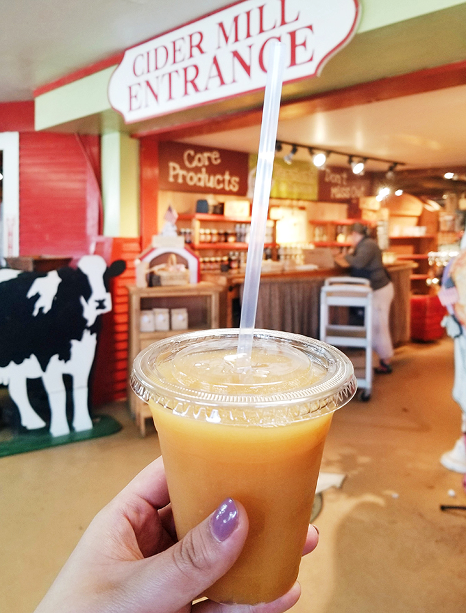 cold hollow cider mill 9