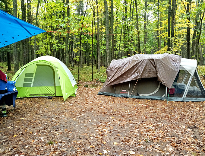 council grounds state park 5