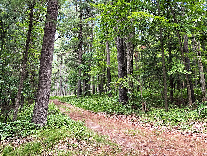 council grounds state park 6