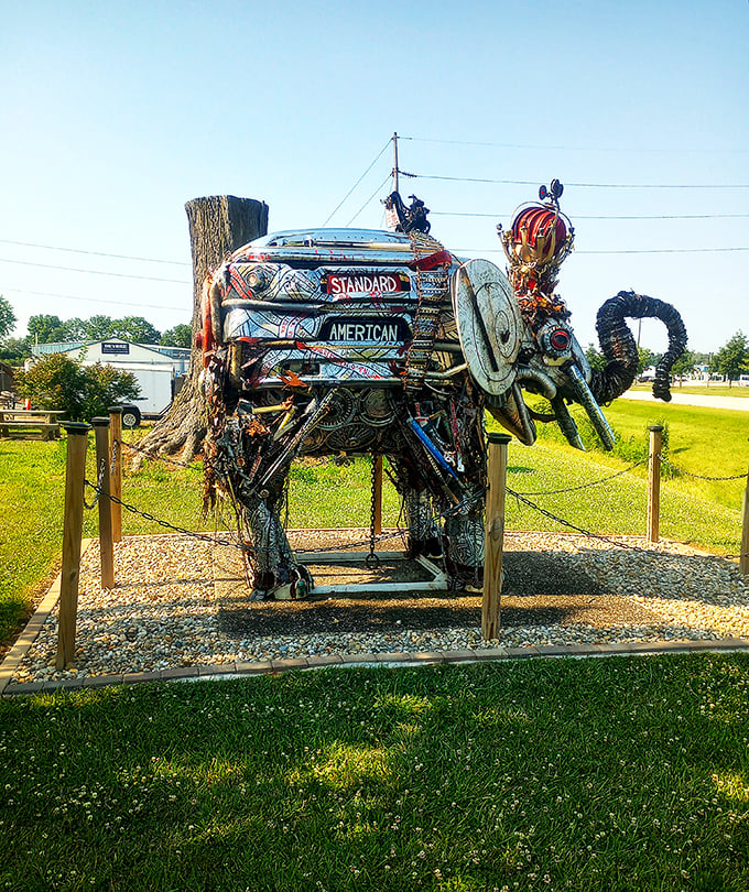 crazy presidential elephant 4