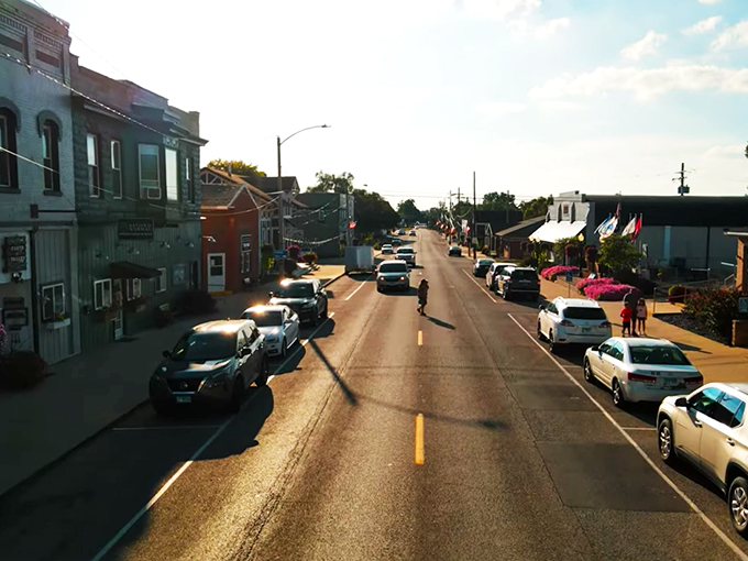 crazy presidential elephant 5