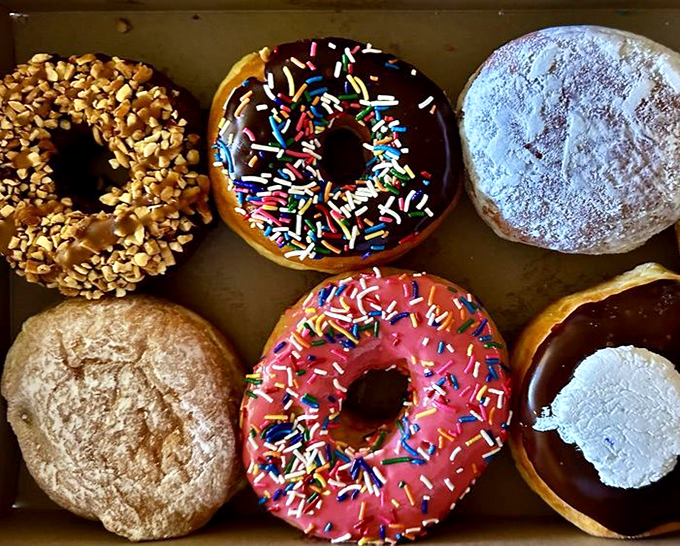 dandee donut factory 6