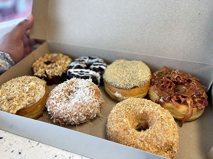 dandee donut factory 6