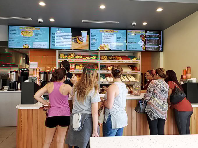 dandee donut factory 7