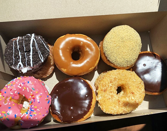 dandee donut factory 9