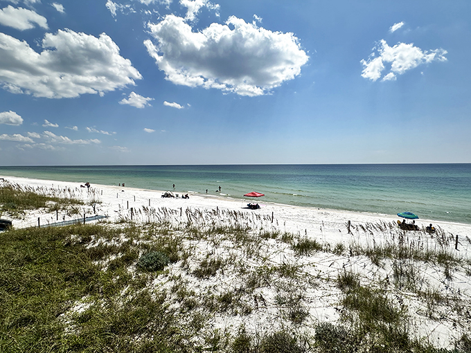 deer lake state park 3