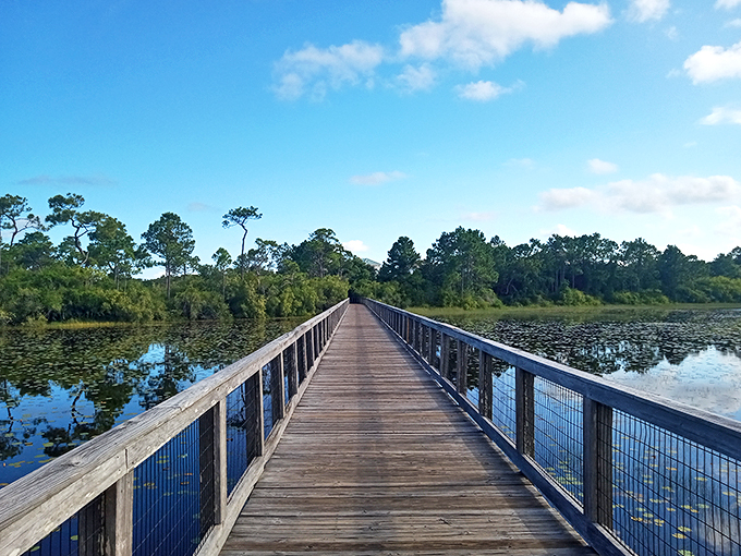 deer lake state park 4
