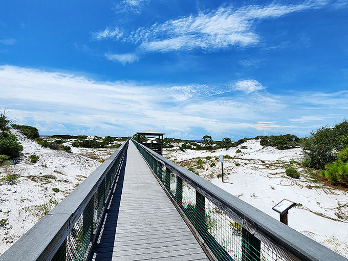 deer lake state park 5