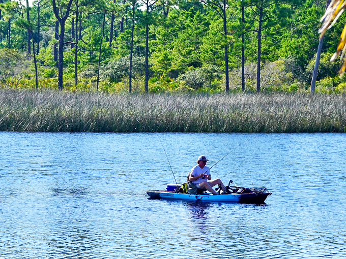 deer lake state park 7