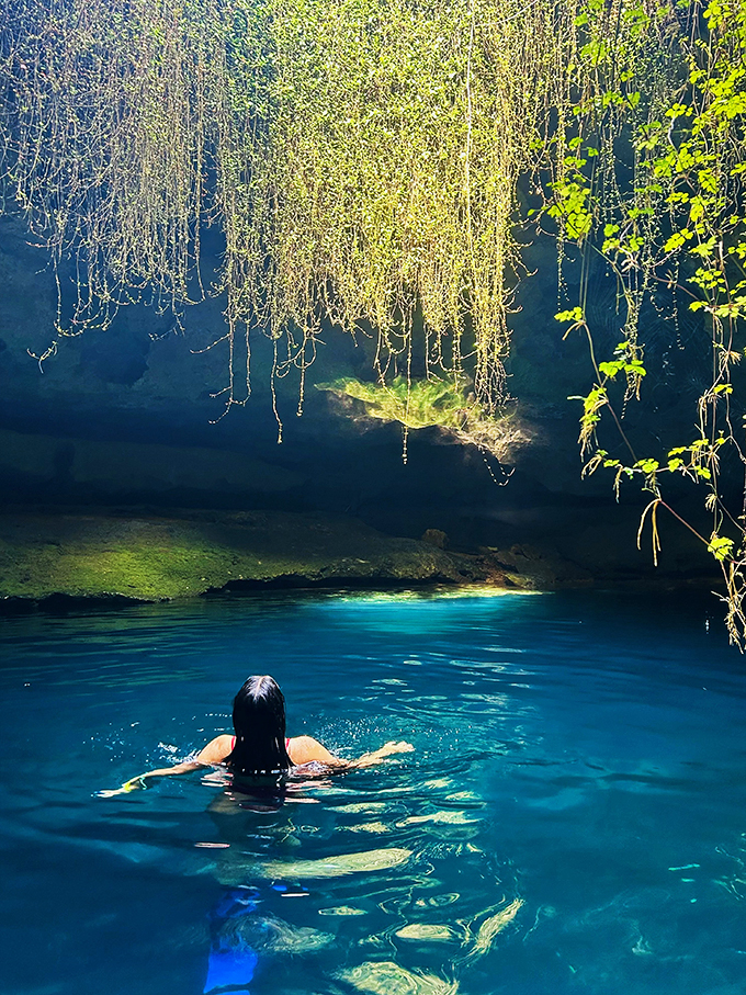 devil's den prehistoric spring and campground 3