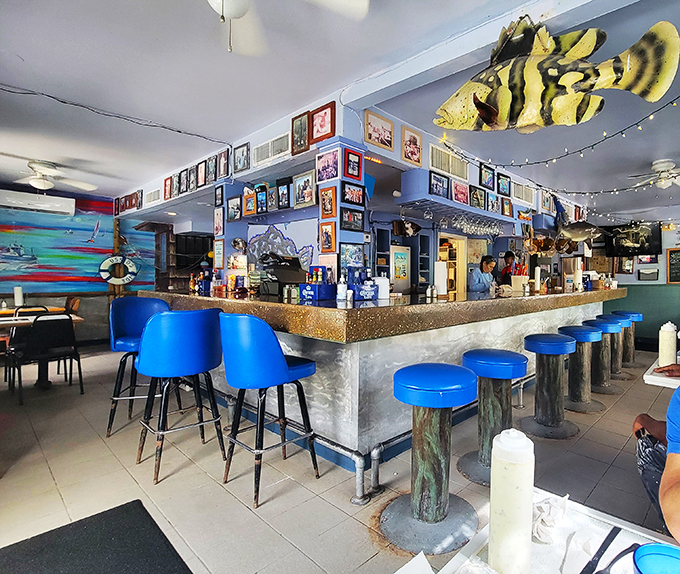 dockside dave&rsquo;s 8