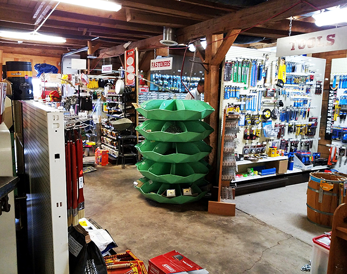 ehlers general store 5