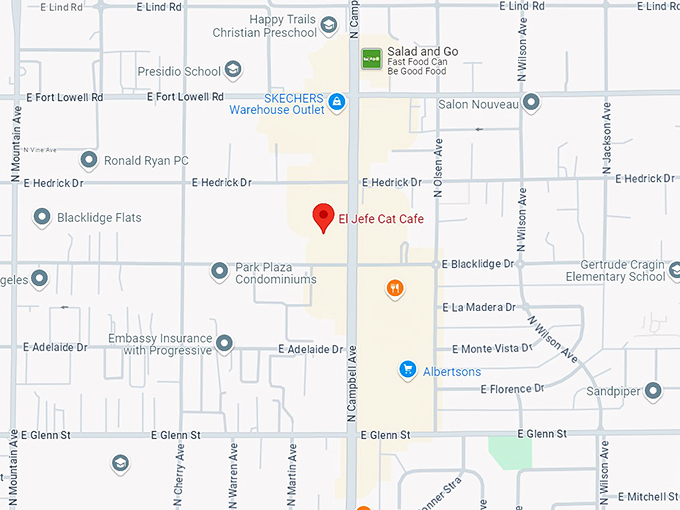 el jefe cat cafe 10 map