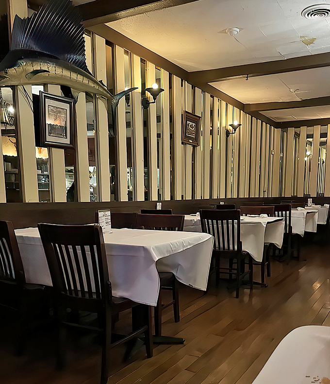 elba&rsquo;s golden steer 2