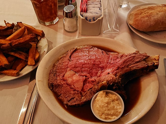 elba&rsquo;s golden steer 3