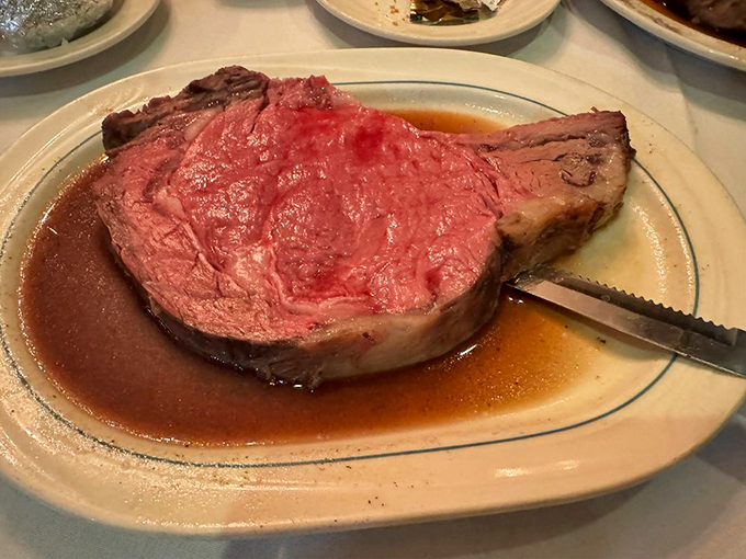 elba&rsquo;s golden steer 6