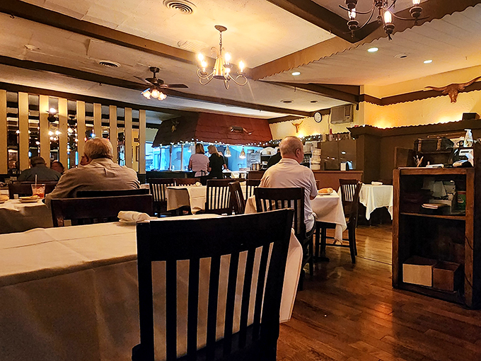 elba&rsquo;s golden steer 9