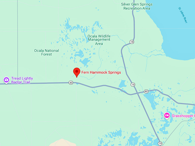 fern hammock springs 10 map