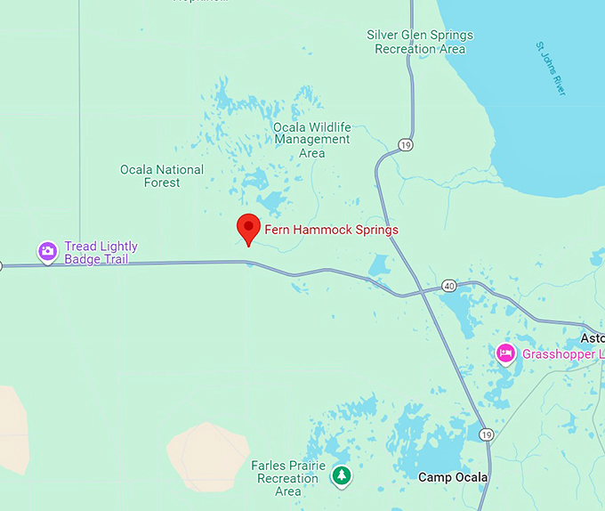 fern hammock springs 10 map